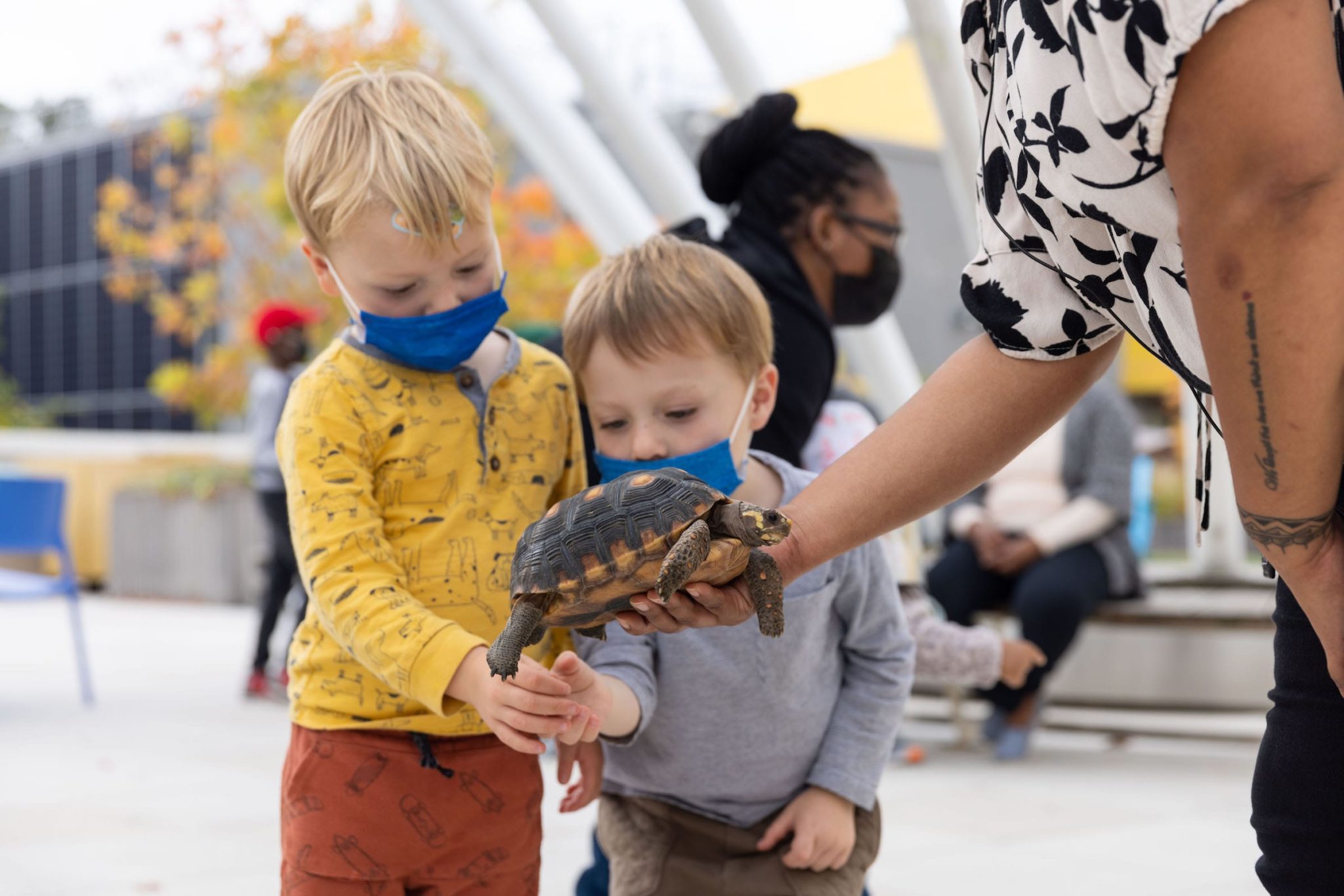 Animal Encounters – Brooklyn Children's Museum